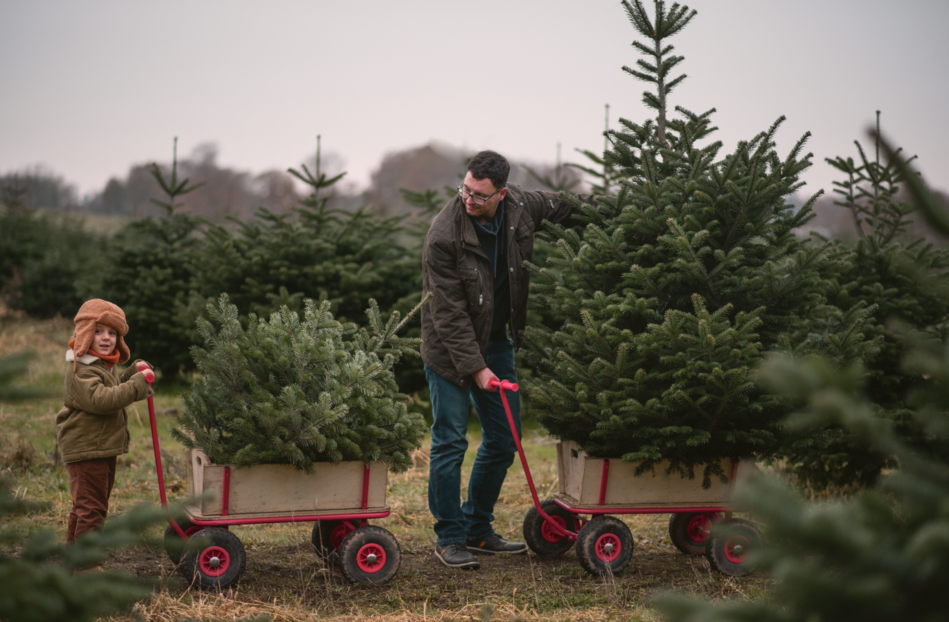 13 Christmas Traditions from the 70s We Wish Would Make a Comeback ...