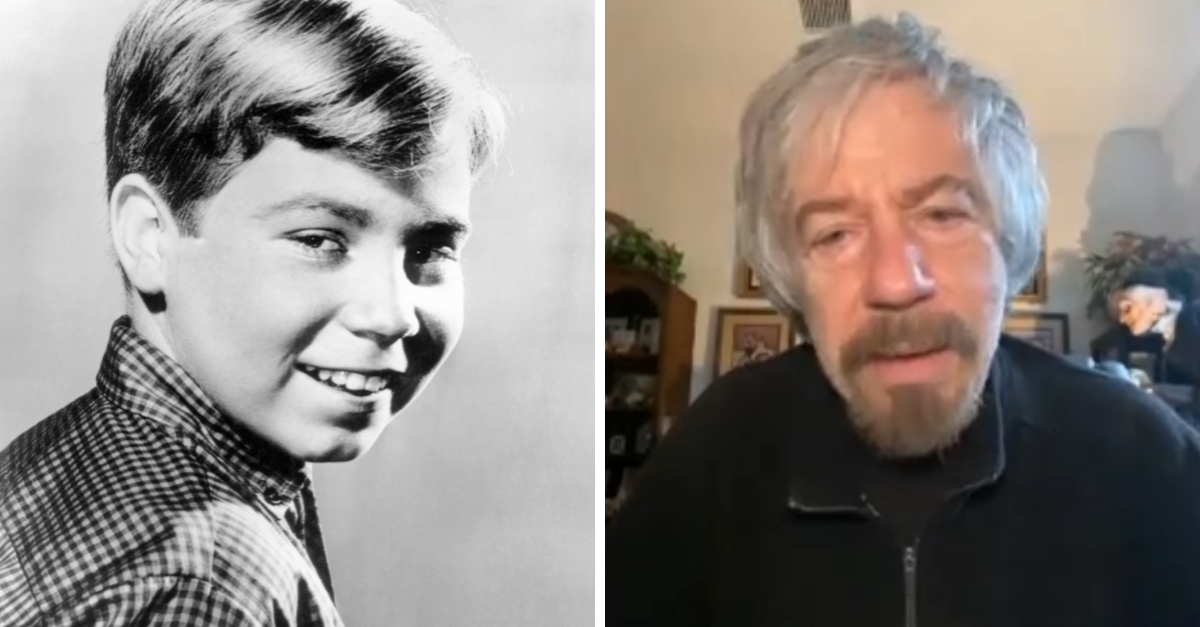 Remember ‘My Three Sons’? What’s the Cast Up to Today – Takes Me Back