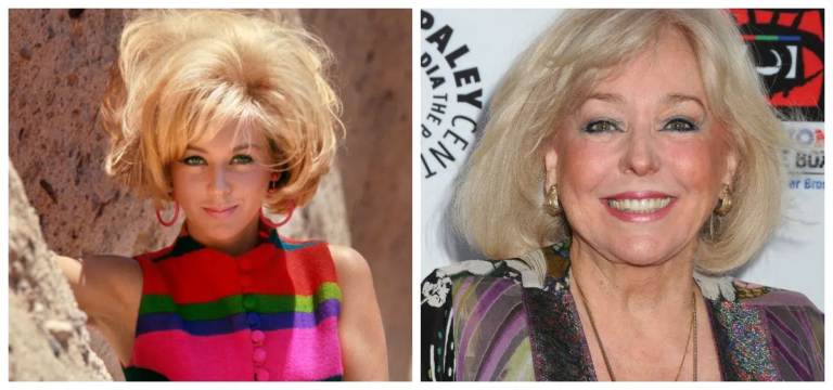 Remember ‘My Three Sons’? What’s the Cast Up to Today – Takes Me Back