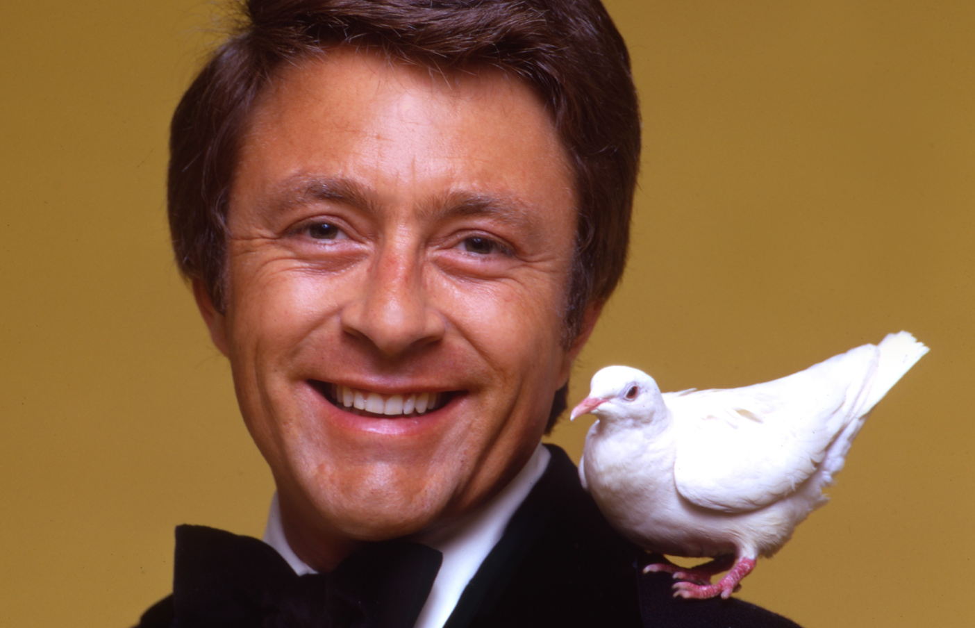 The 10 Roles That Made Bill Bixby One of TV’s Most Beloved Leading Men ...