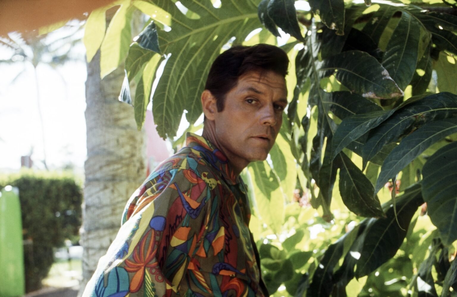 13 TV Detectives from the ’70s Who Solved Everything with a Shrug and a ...