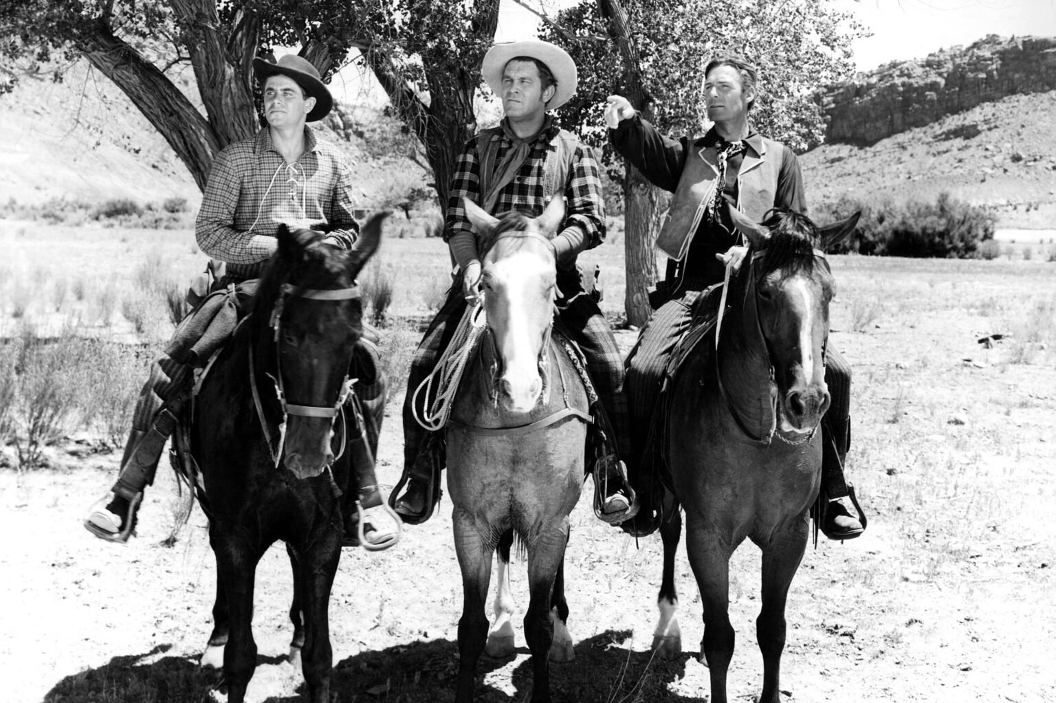 16 Famous ’60s Stars Who Had Big Movie Careers But Are Forgotten Today ...