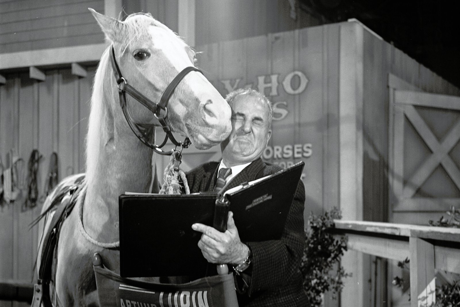 15 ’60s TV Characters That Everyone Loved – Then Disappeared – Takes Me ...